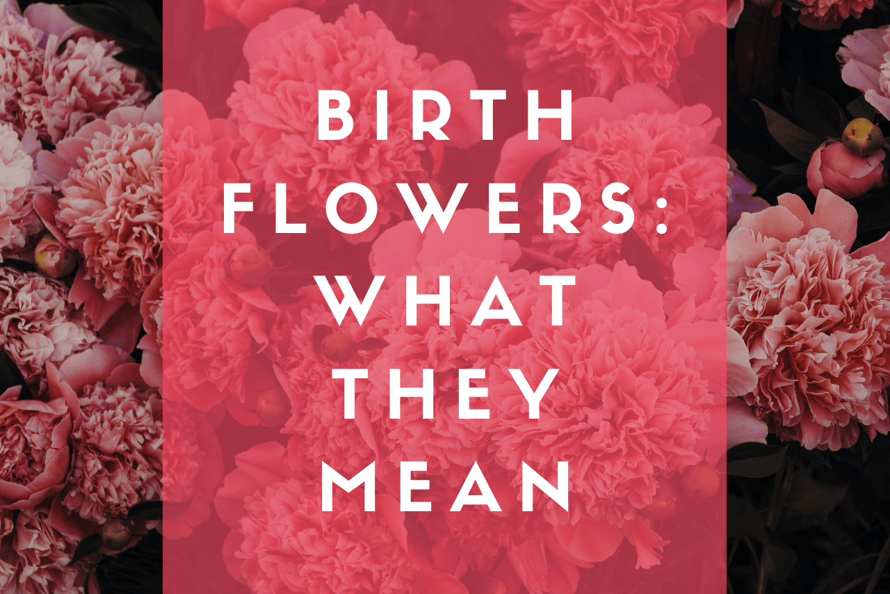 Birth Flowers And What They Symbolize - Hey Lady Blog!